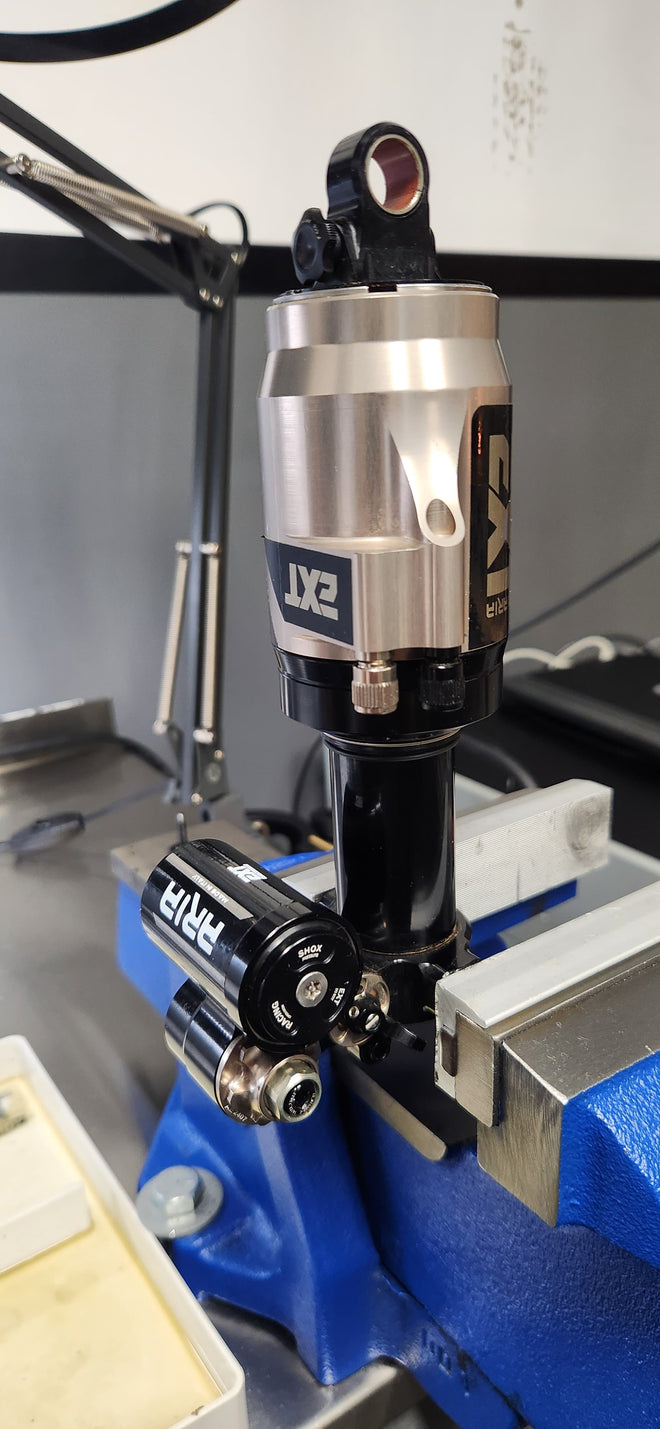 Extreme Racing Shox – Alba Distribution