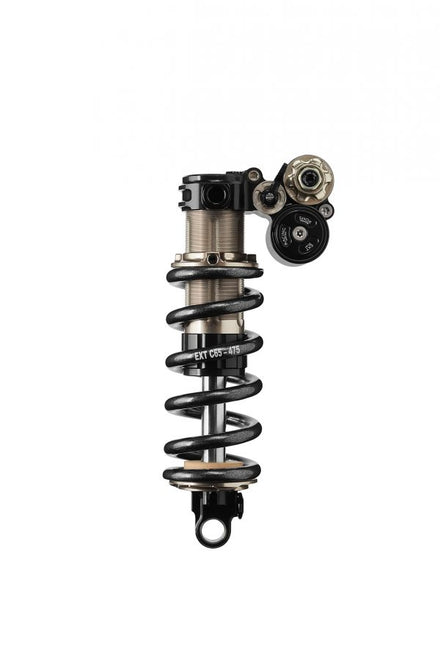 Extreme Racing Shox – Alba Distribution